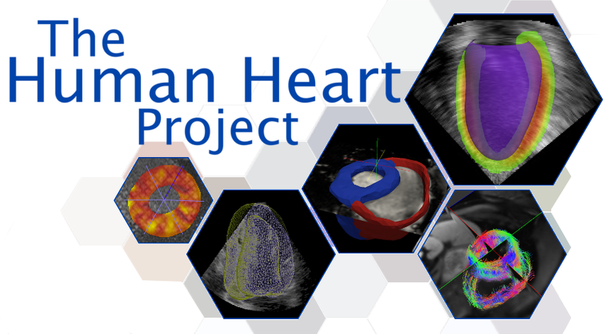 Human Heart Project